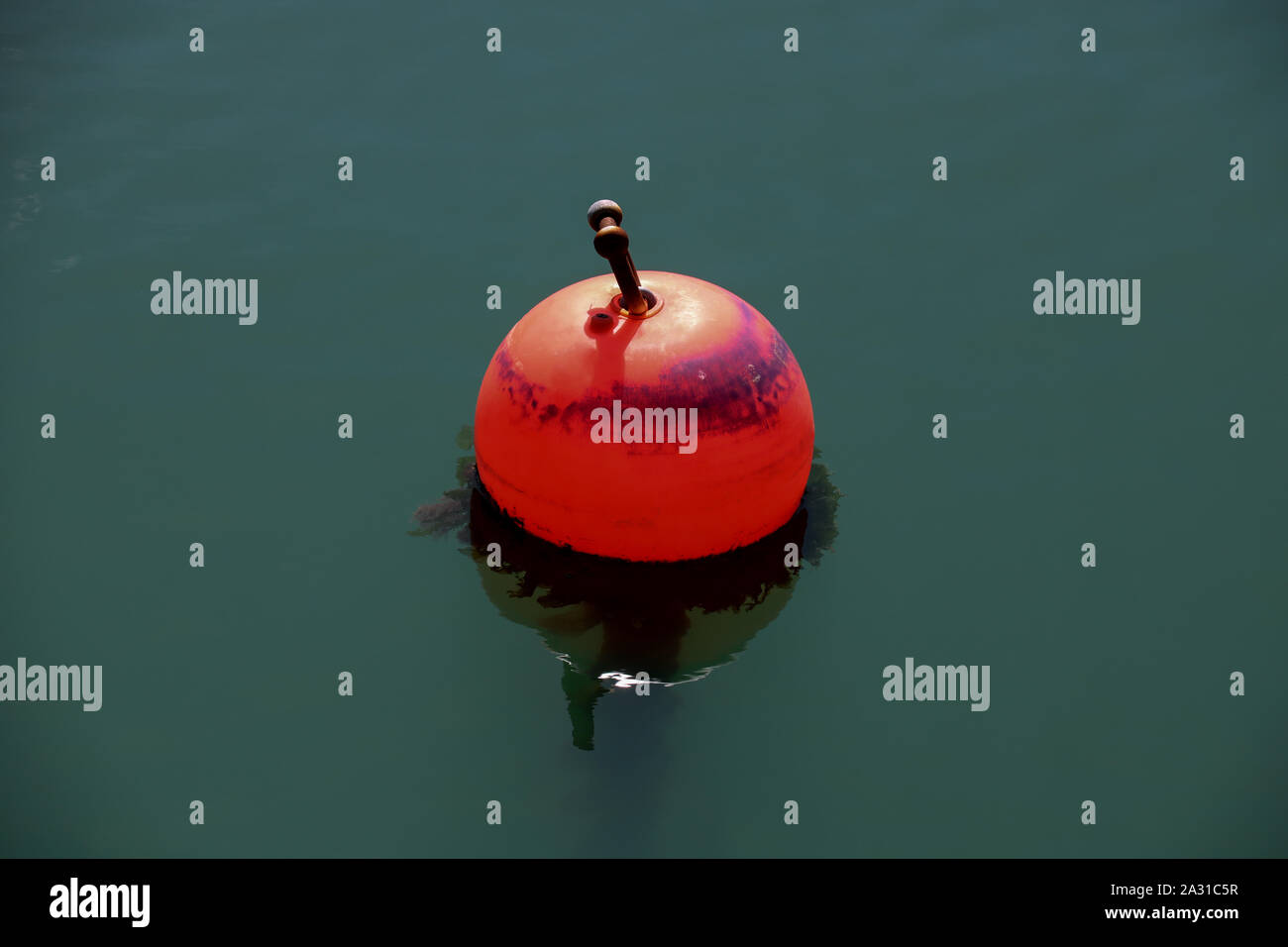 Red buoy floating at a coastal harbour Stock Photo - Alamy