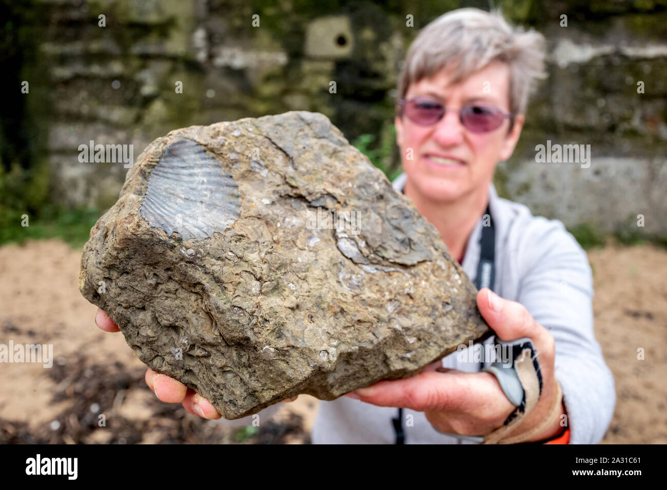 Staithes geology hi-res stock photography and images - Alamy