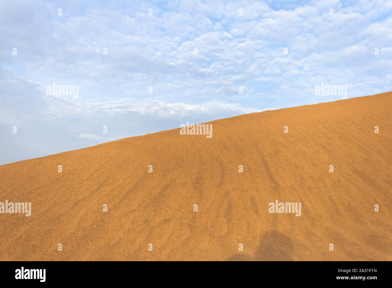 The Cholistan Desert, also locally known as Rohi, sprawls 30 km from ...