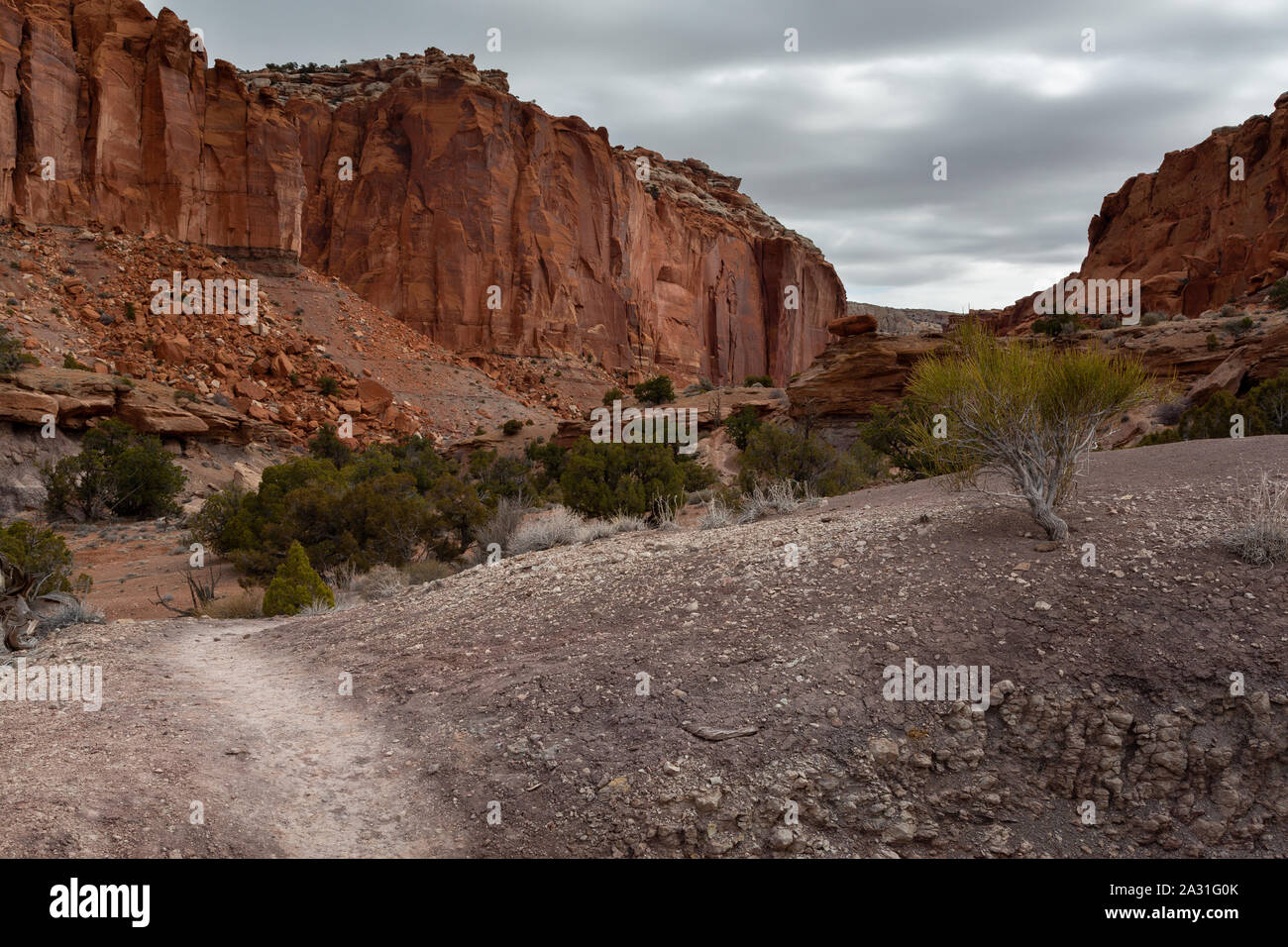 Wingate sandstone formation hi-res stock photography and images - Alamy