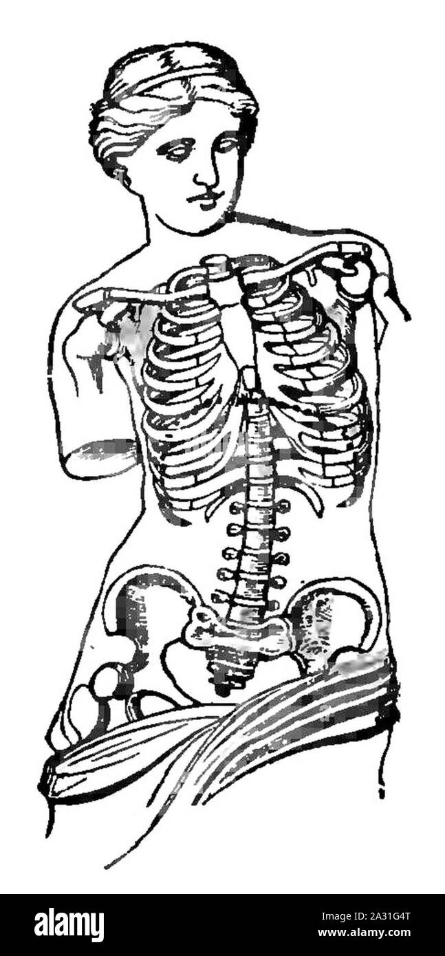 Meinert hi-res stock photography and images - Alamy