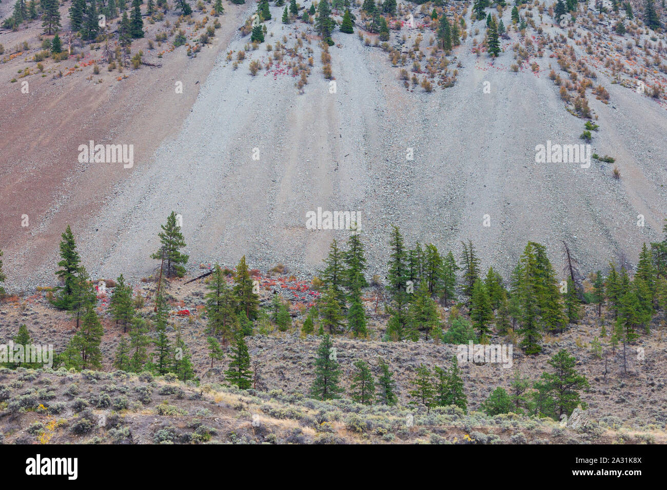 Scree slope hi-res stock photography and images - Alamy