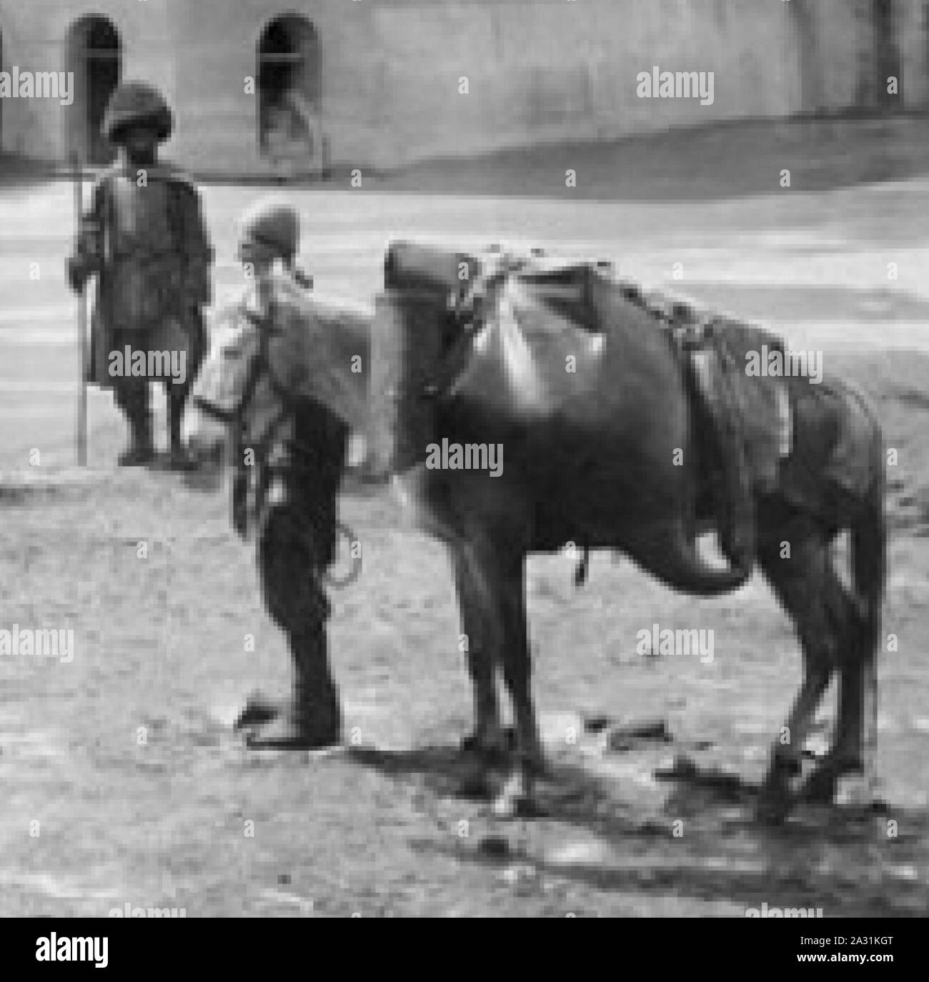 Ermakov Black and White Stock Photos & Images - Alamy