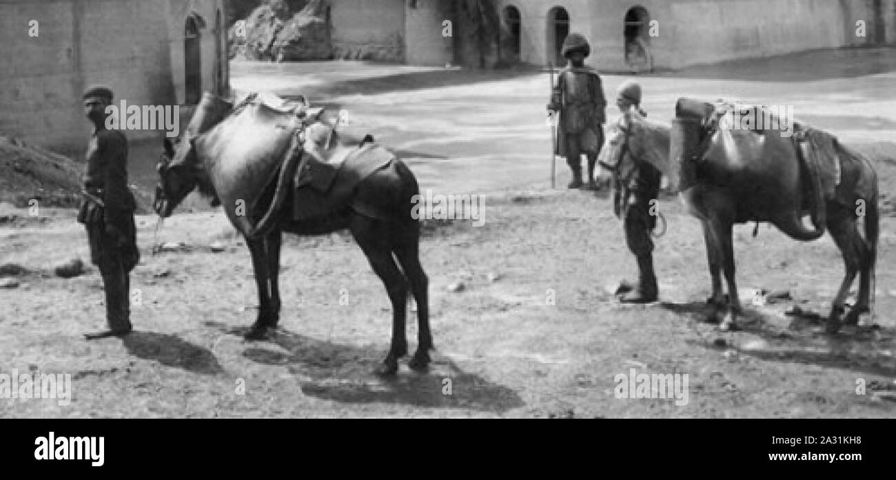 Ermakov Black and White Stock Photos & Images - Alamy