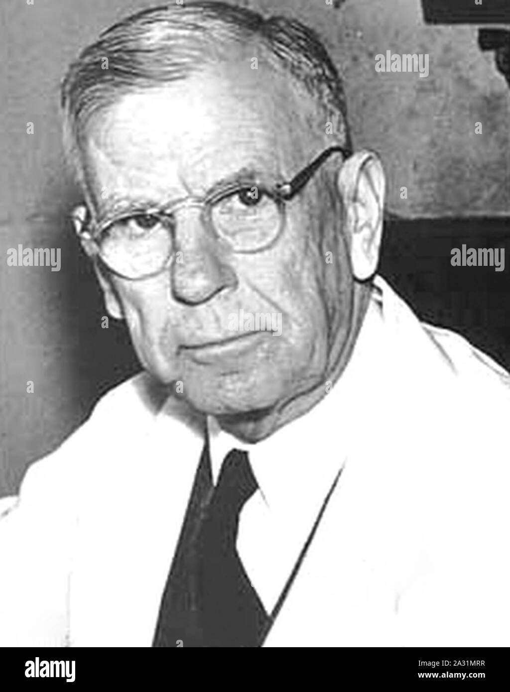 Goodpasture hi-res stock photography and images - Alamy