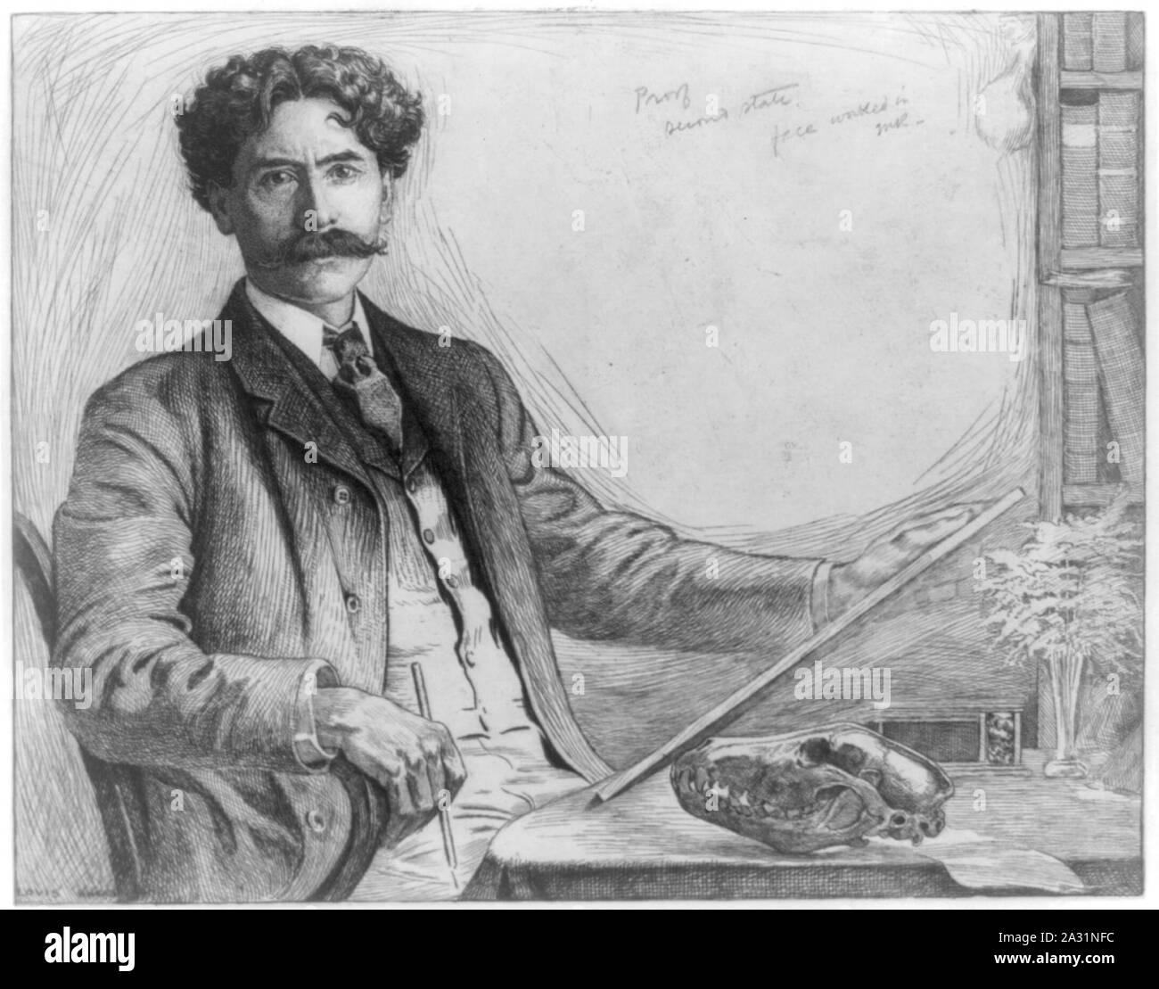 Ernest thompson seton hi-res stock photography and images - Alamy