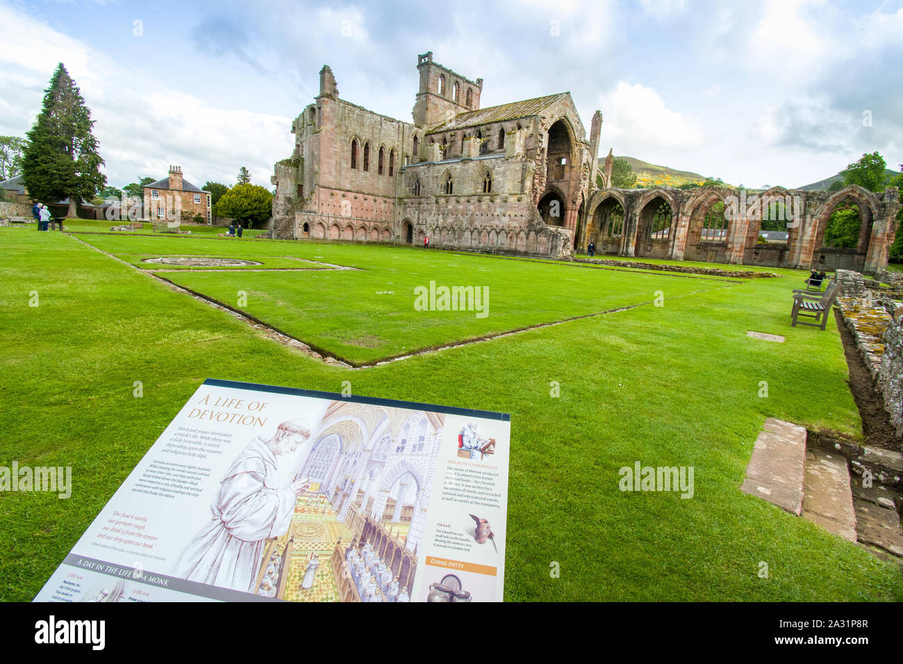 June borders hi-res stock photography and images - Alamy