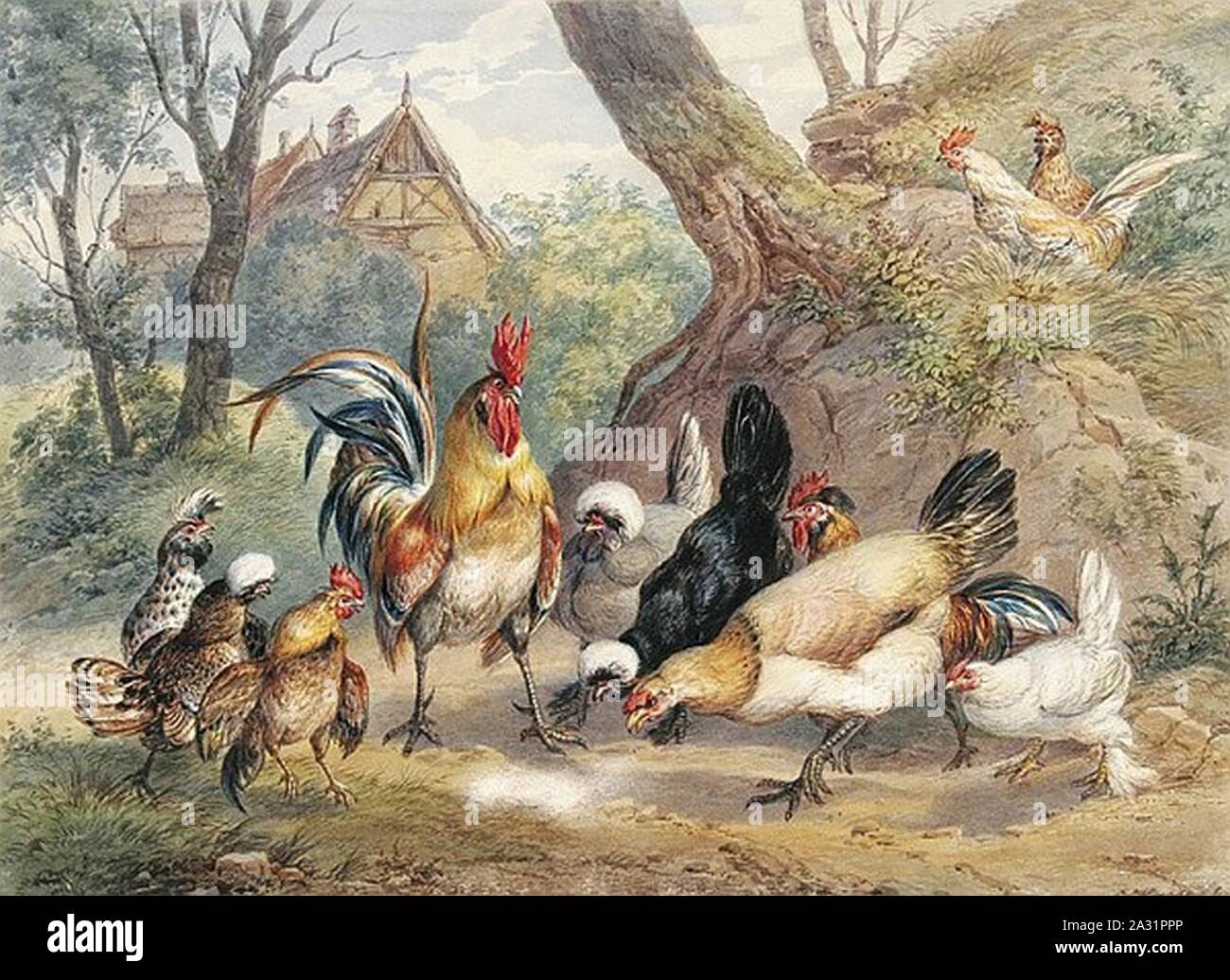 Ernst Hasse - Hahn und Hühner bei einem Bauernhof 1837 Stock Photo - Alamy