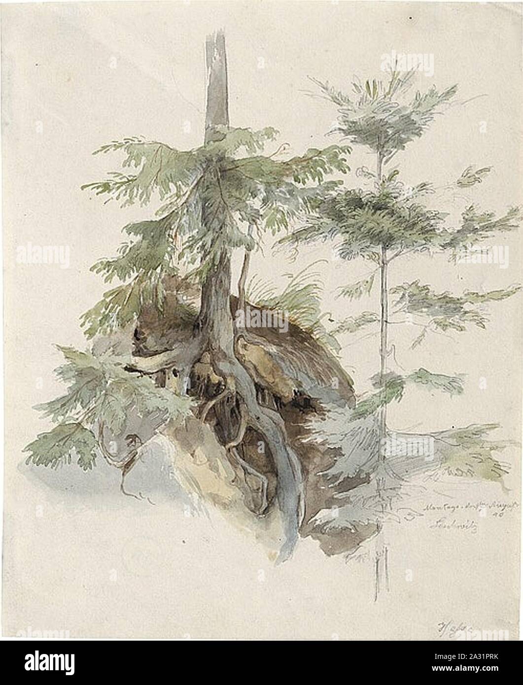 Waldpartie hi-res stock photography and images - Alamy