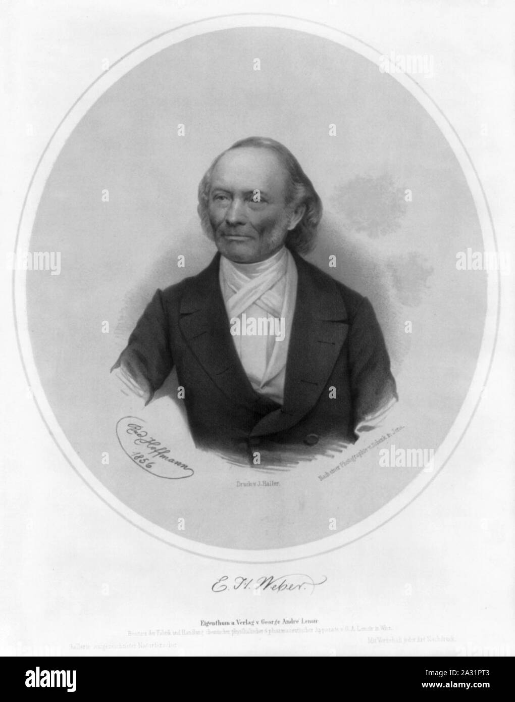 Ernst heinrich weber hi-res stock photography and images - Alamy