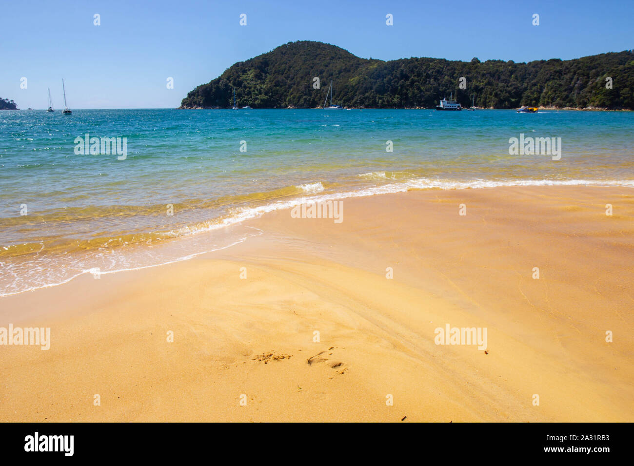 beach at Abel Tasman national park, New Zealand Stock Photo - Alamy