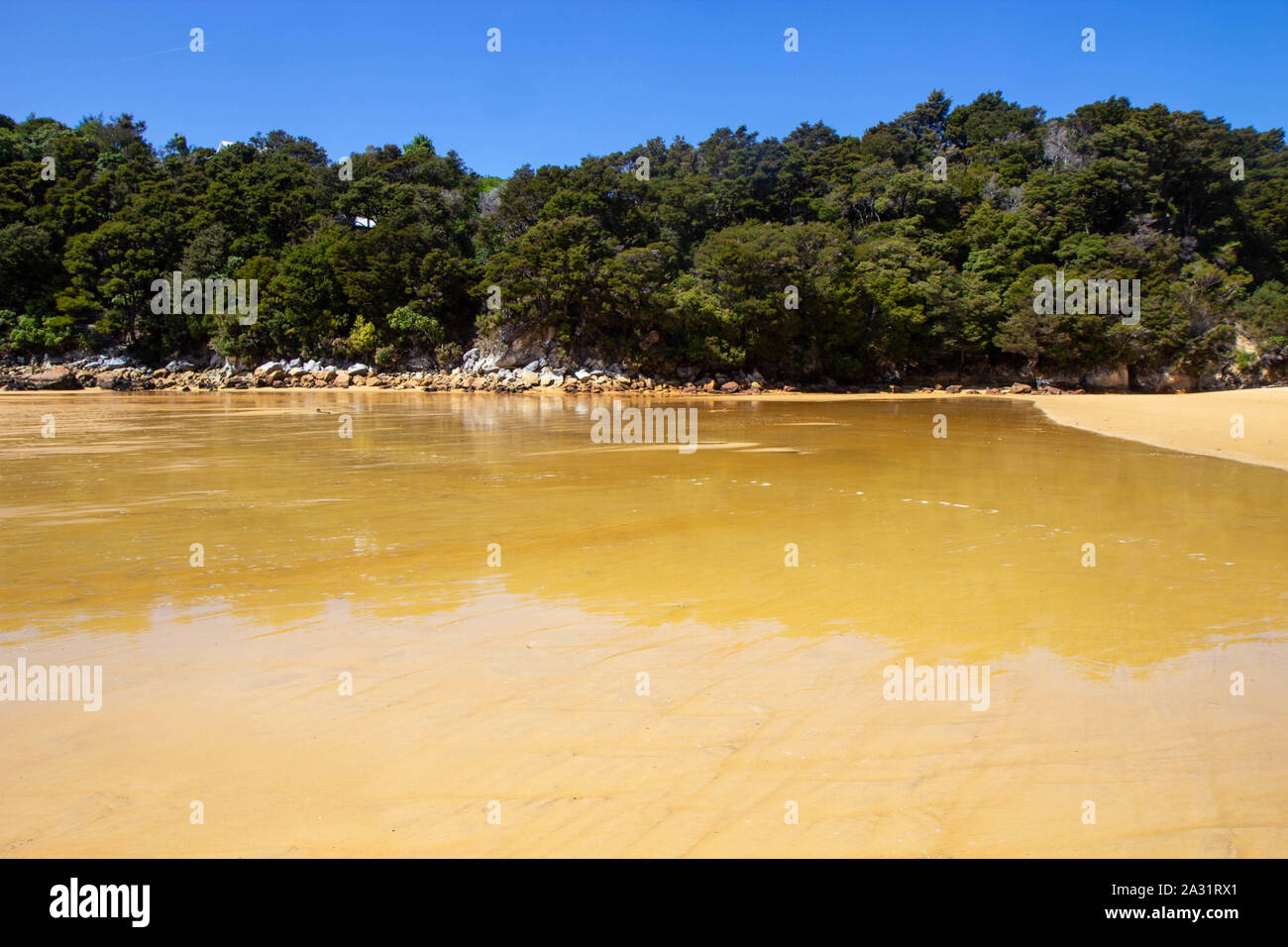 beach at Abel Tasman national park, New Zealand Stock Photo - Alamy