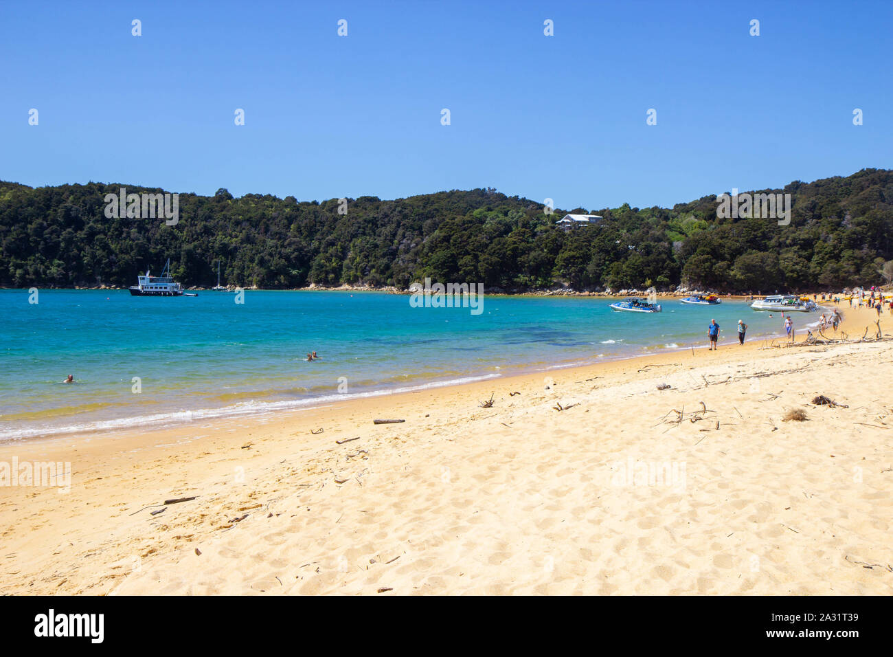 beach at Abel Tasman national park, New Zealand Stock Photo - Alamy