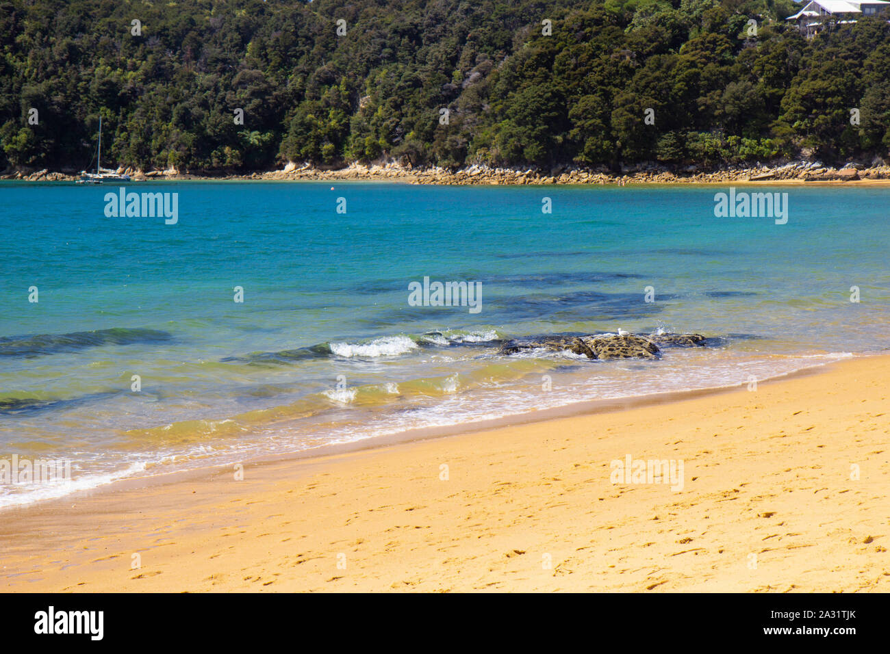 beach at Abel Tasman national park, New Zealand Stock Photo - Alamy