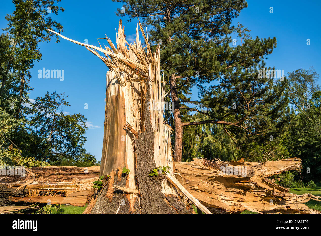Hurricane damage after bad weather Stock Photo - Alamy