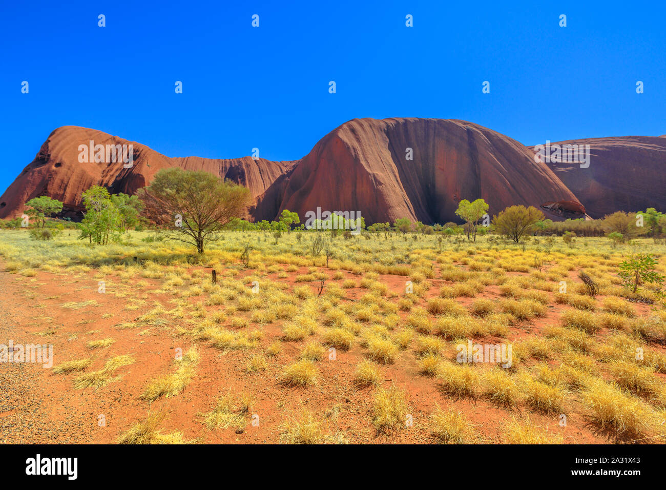 Central Australian landscape with bush vegetation in dry season at ...