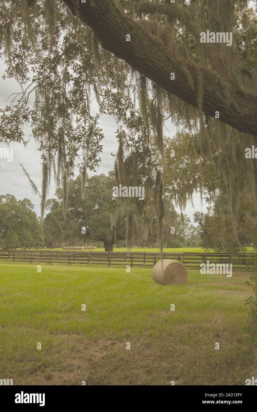 Ranching hay hi-res stock photography and images - Alamy