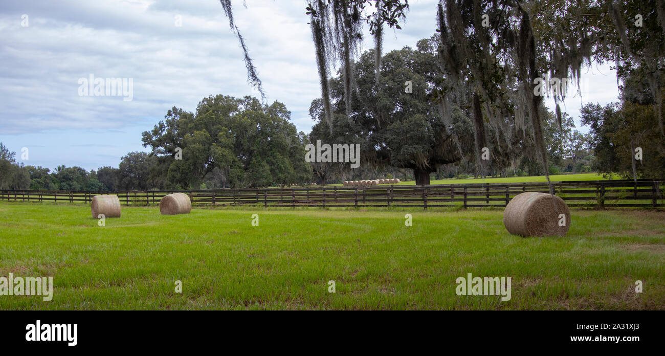 Ranching hay hi-res stock photography and images - Alamy