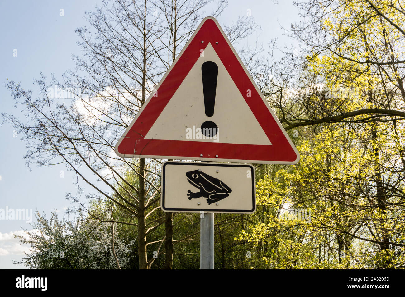 Caution toad migration hi-res stock photography and images - Alamy