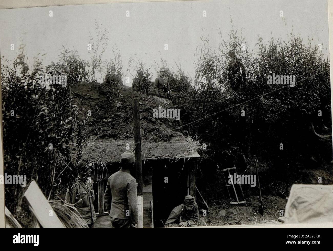 Bronikowski hi-res stock photography and images - Alamy