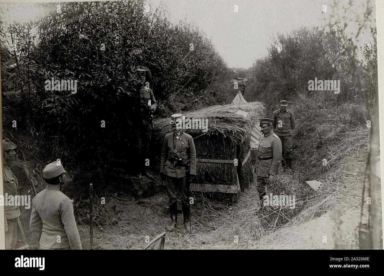 Bronikowski hi-res stock photography and images - Alamy