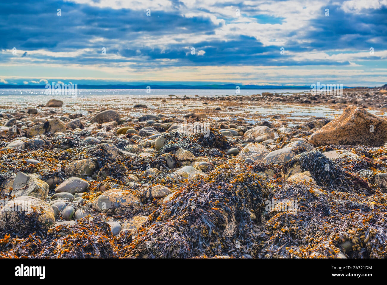 Newton stewart hi-res stock photography and images - Alamy