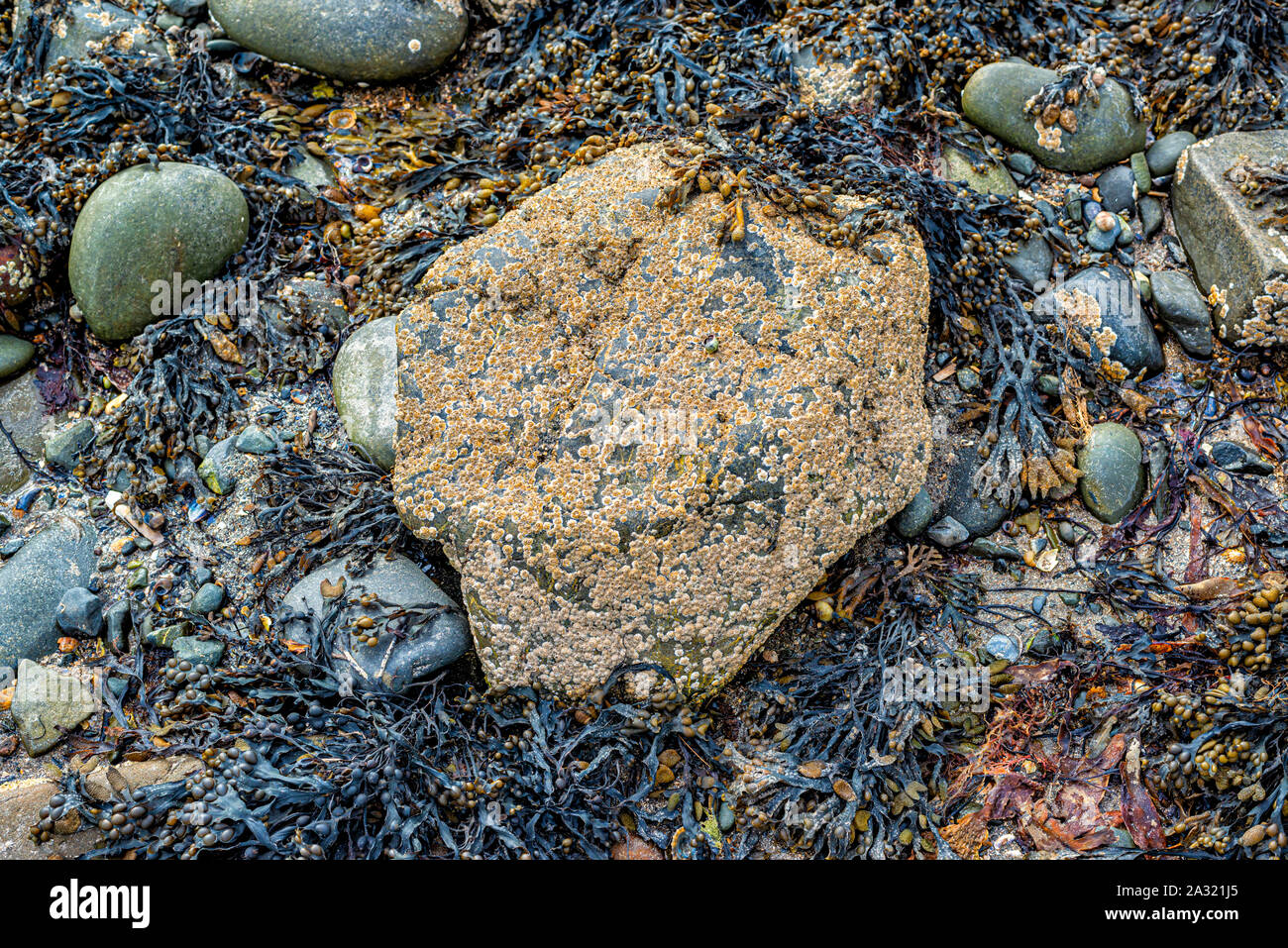 Scottish seaside, Sandhead Bay, Sandhead, Stranraer DG9 9JJ Stock Photo ...