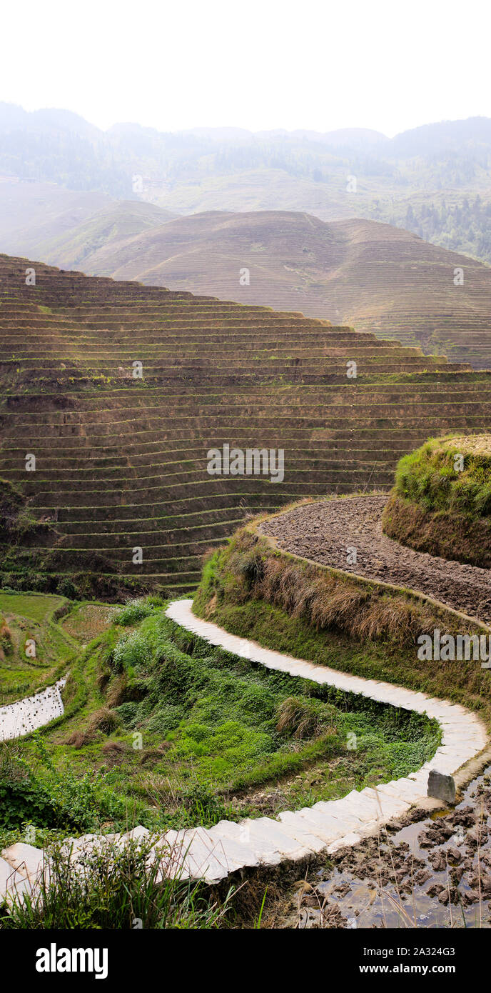 Foot path at the rice terraces in Longshen China Stock Photo - Alamy
