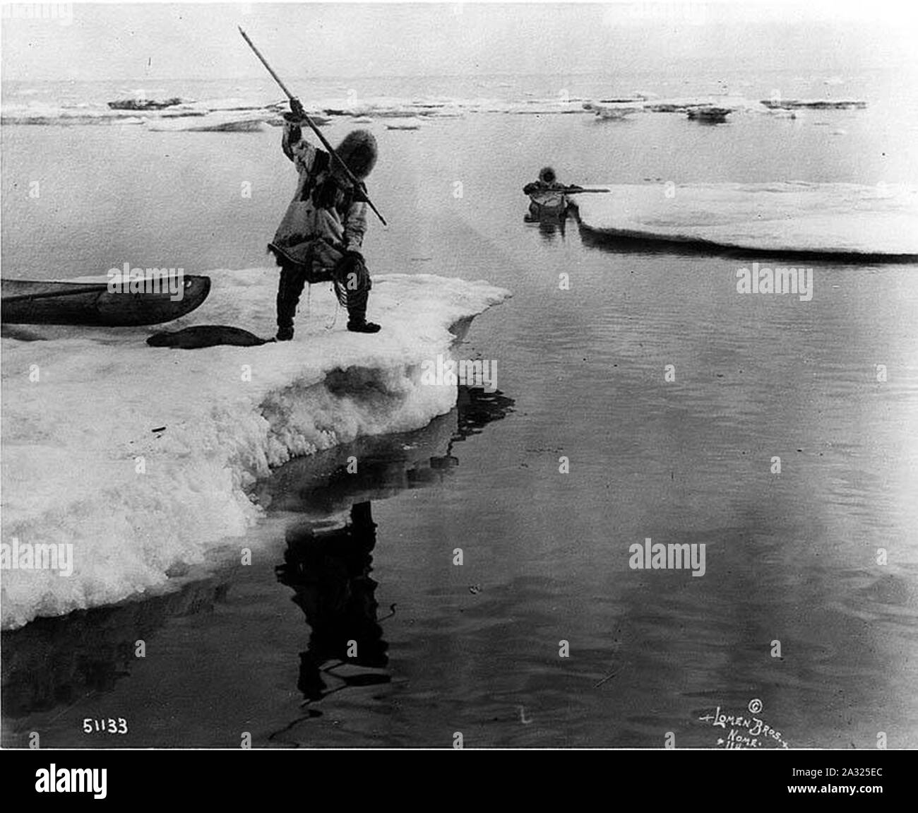 Hunting for seals Black and White Stock Photos & Images - Alamy