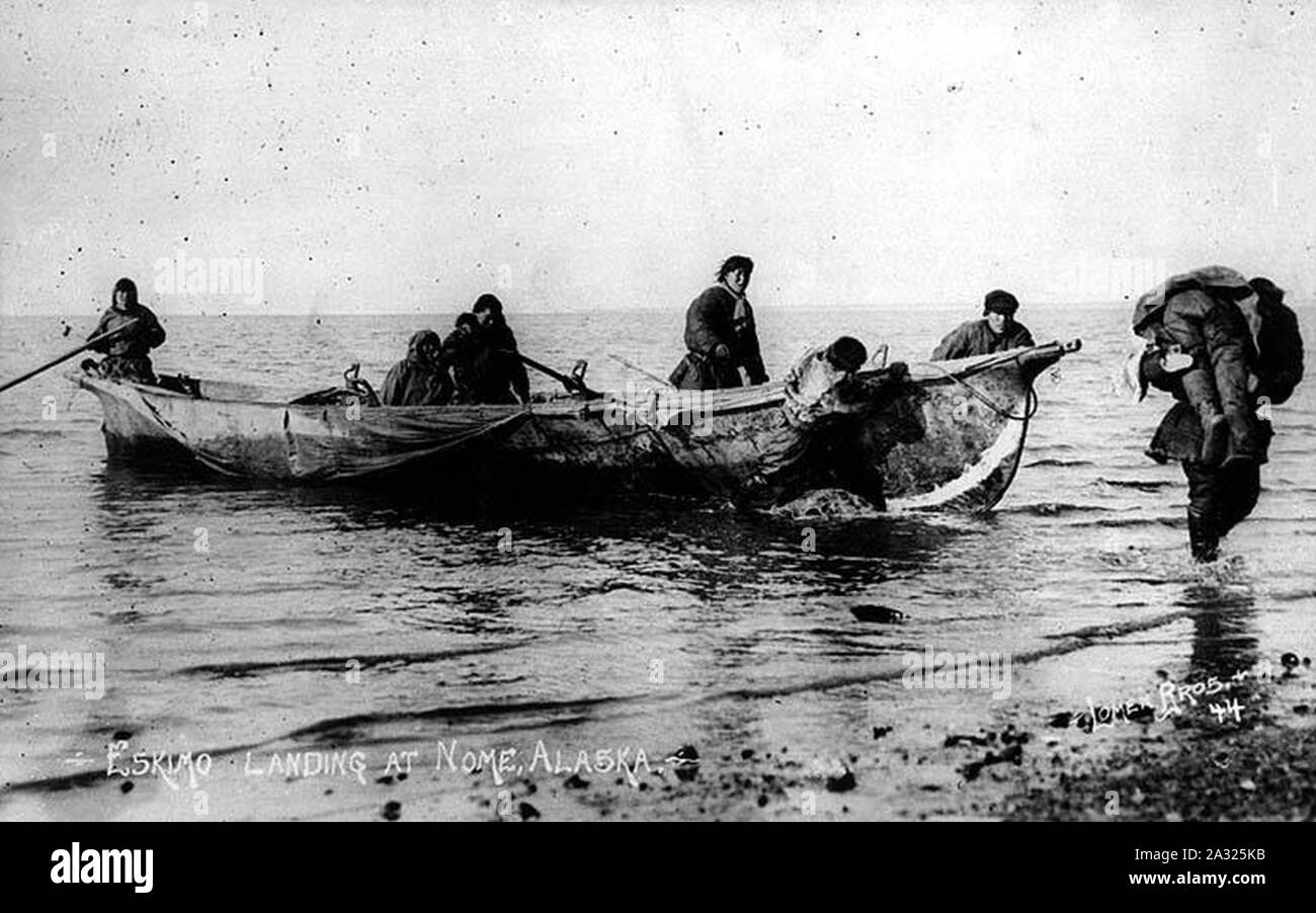 Eskimos landing a skin boat on the shore Nome Alaska (CURTIS 526 Stock ...