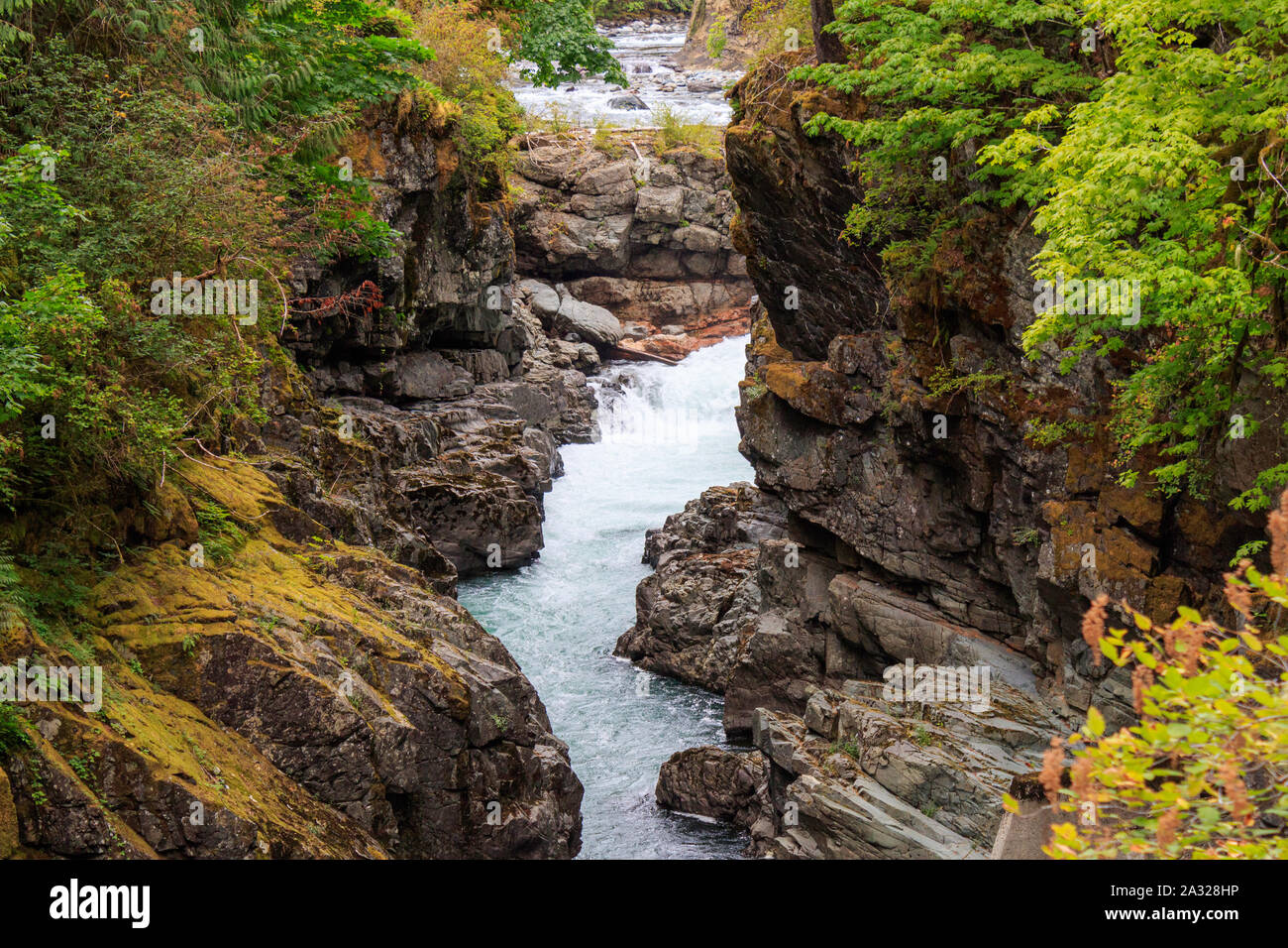Tree against falls mountain river hi-res stock photography and images ...