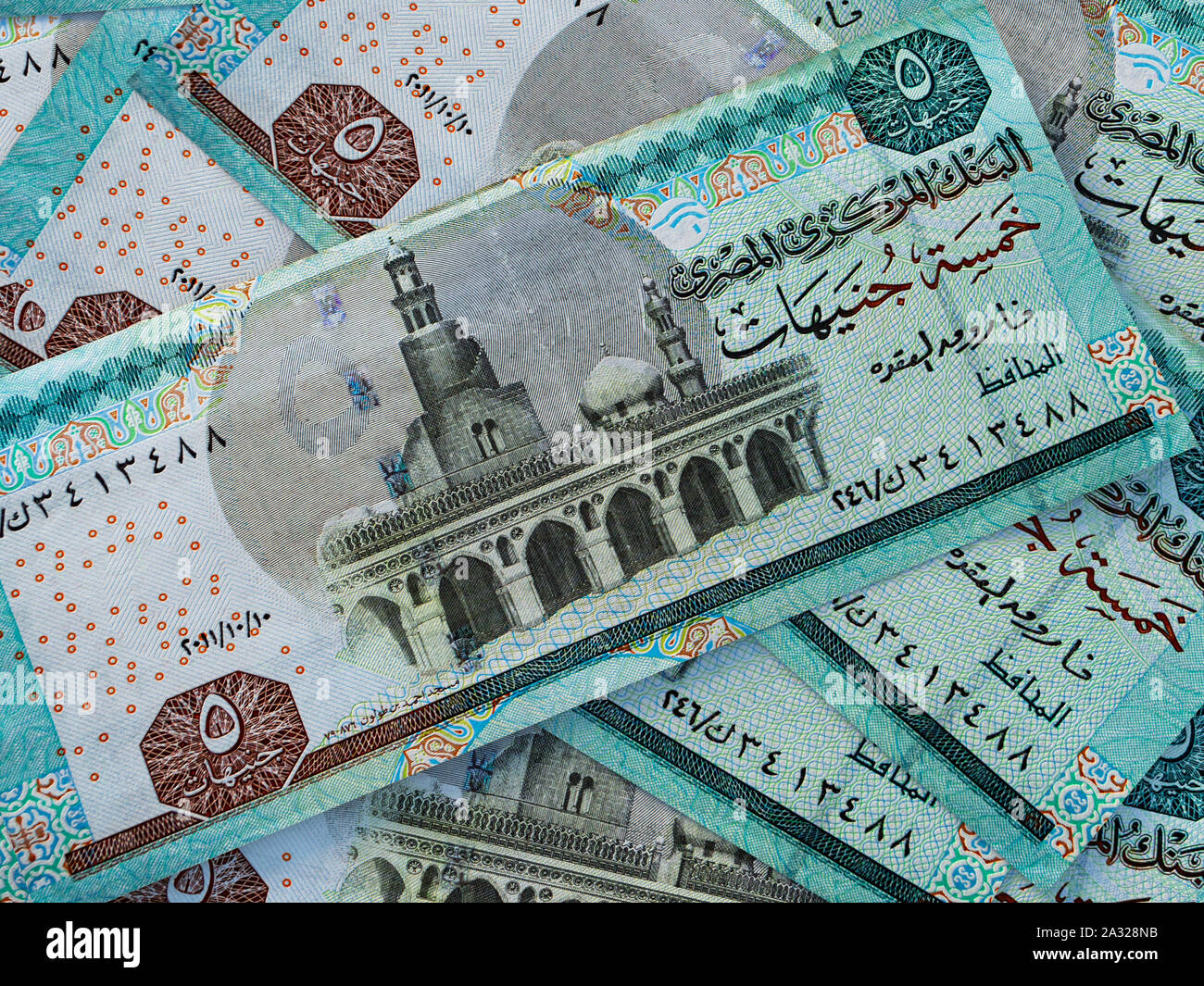 Egyptian pounds. Money of Egypt, business background. EGP. Closeup shot ...