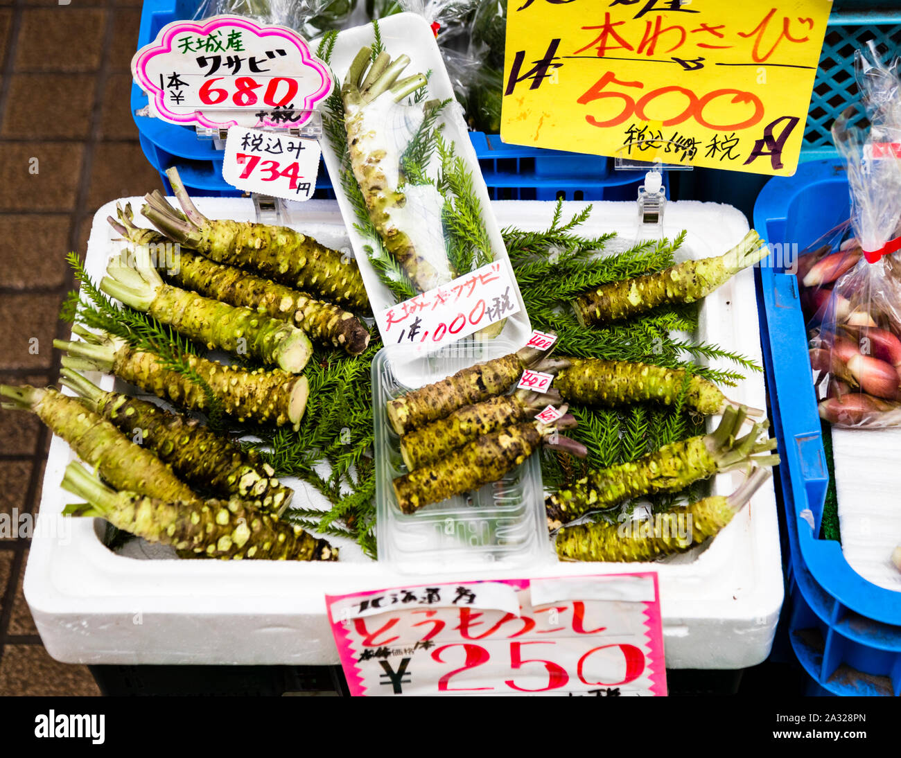 Fresh wasabi at a market in Tokyo.wasabi keeps fresh for about two ...