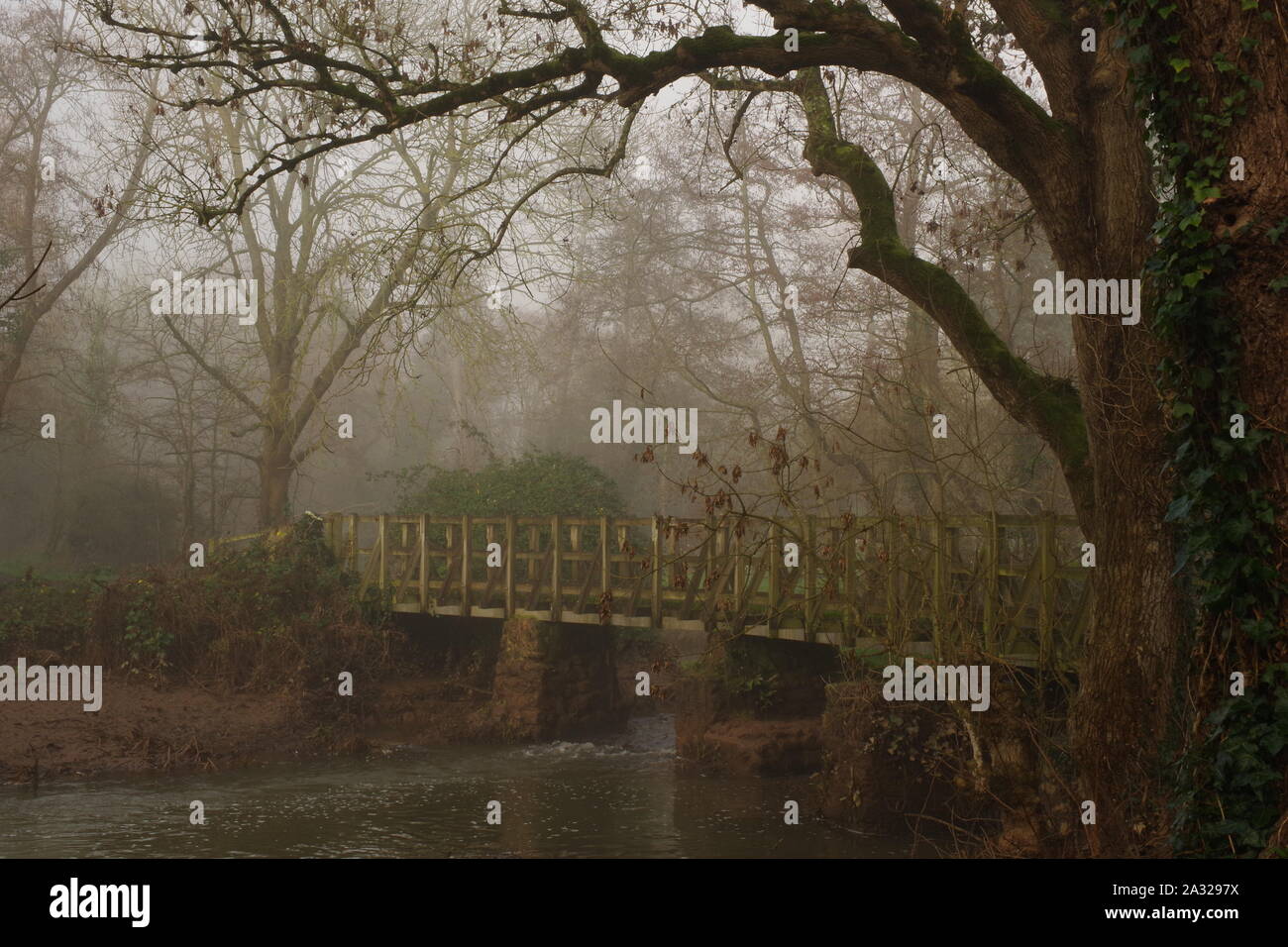 Wooden Footbridge over an Old Mill Leat on the River Exe on a Misty ...