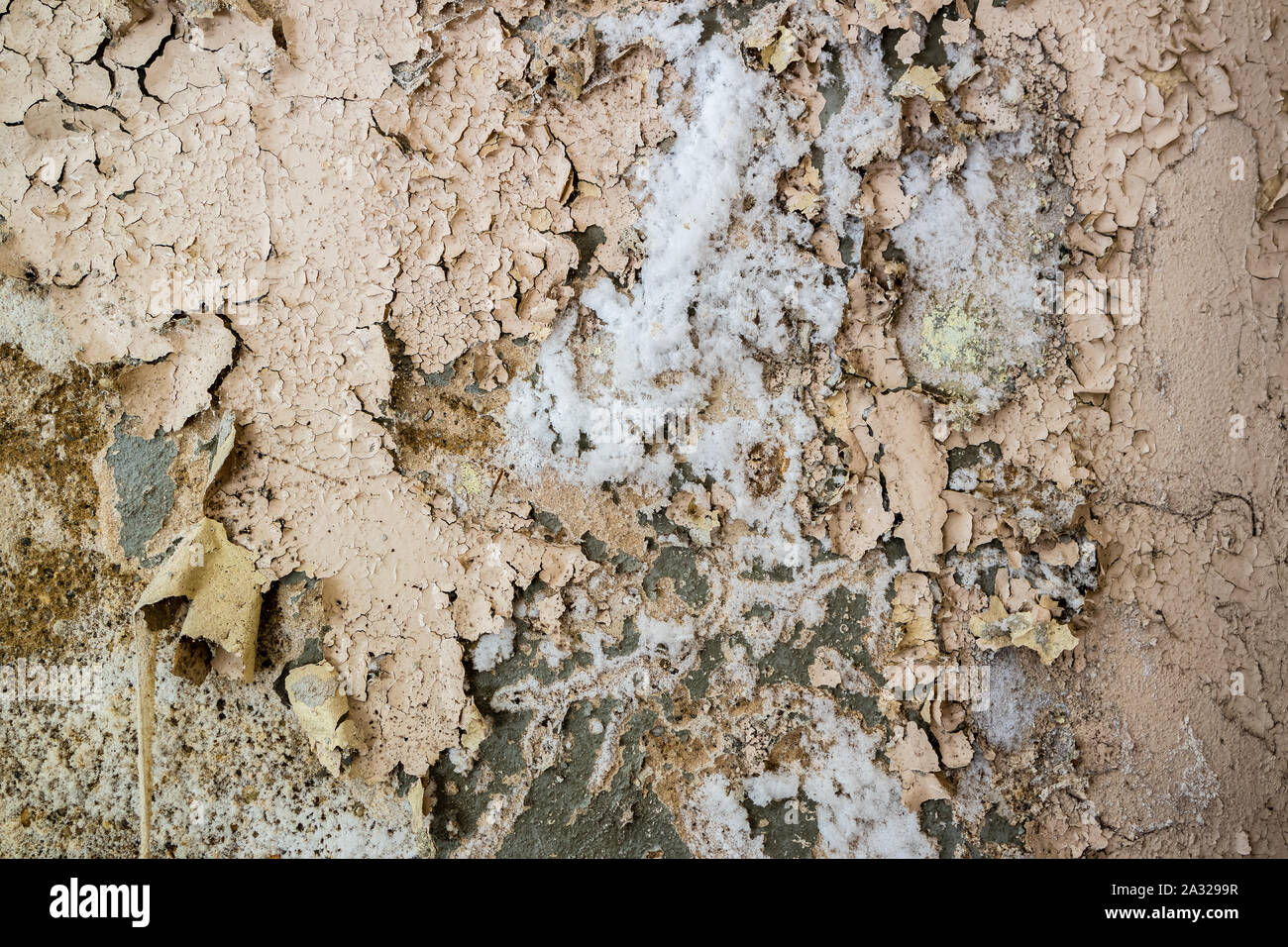 Wall with saltpetre Stock Photo - Alamy