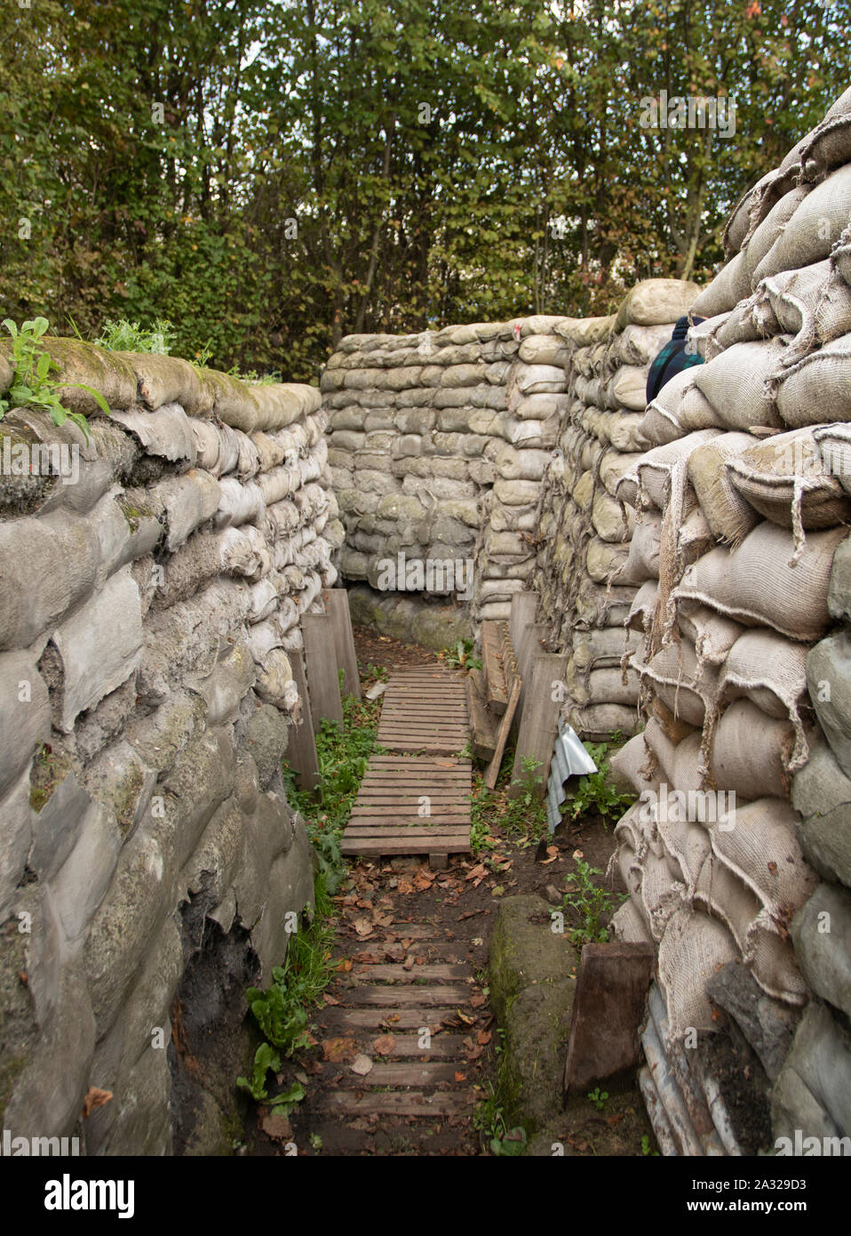 Preserved ww1 trench france hi-res stock photography and images - Alamy