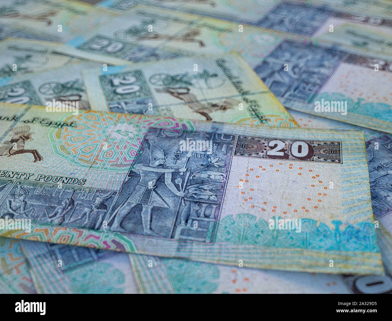Egyptian pounds. Money of Egypt, business background. EGP. Closeup shot ...