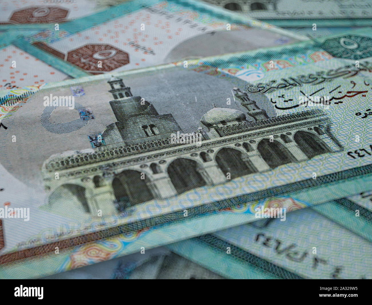 Egyptian pounds. Money of Egypt, business background. EGP. Closeup shot ...