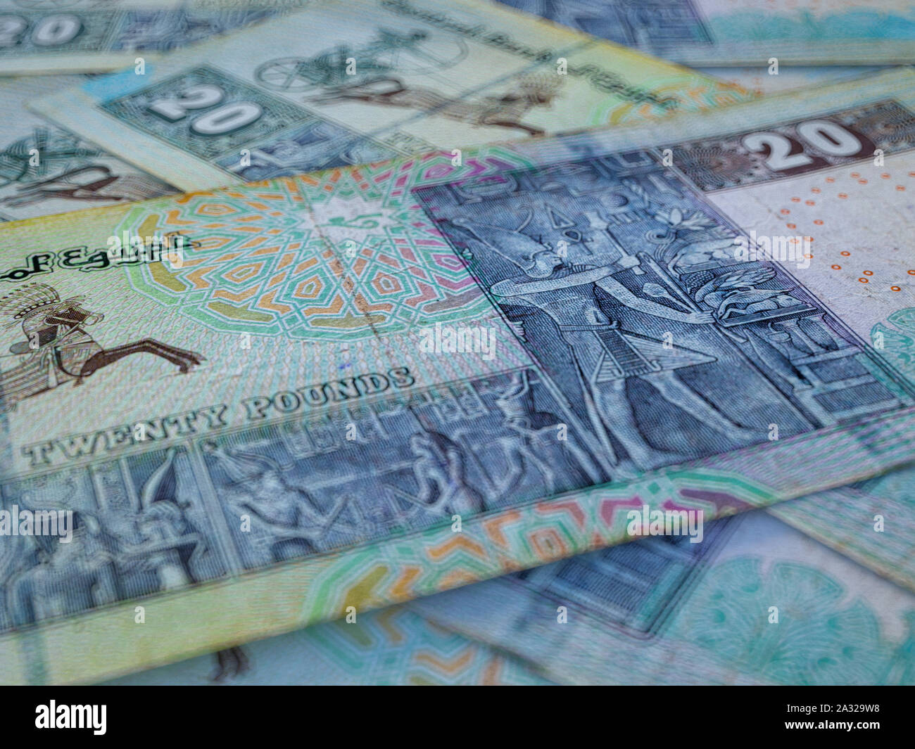 Egyptian pounds. Money of Egypt, business background. EGP. Closeup shot ...