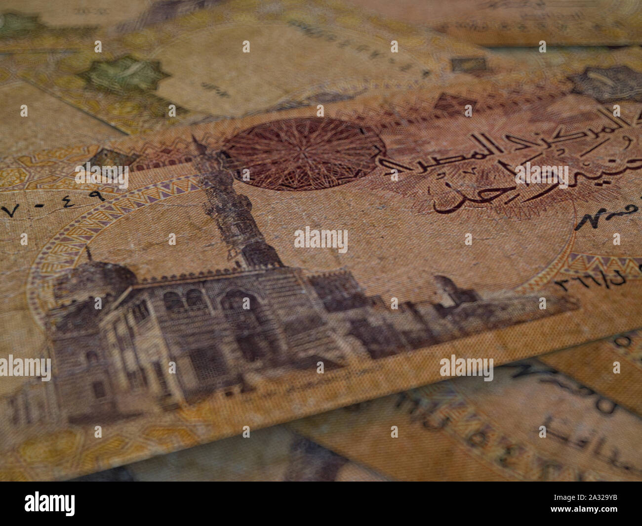 Egyptian pounds. Money of Egypt, business background. EGP. Closeup shot ...