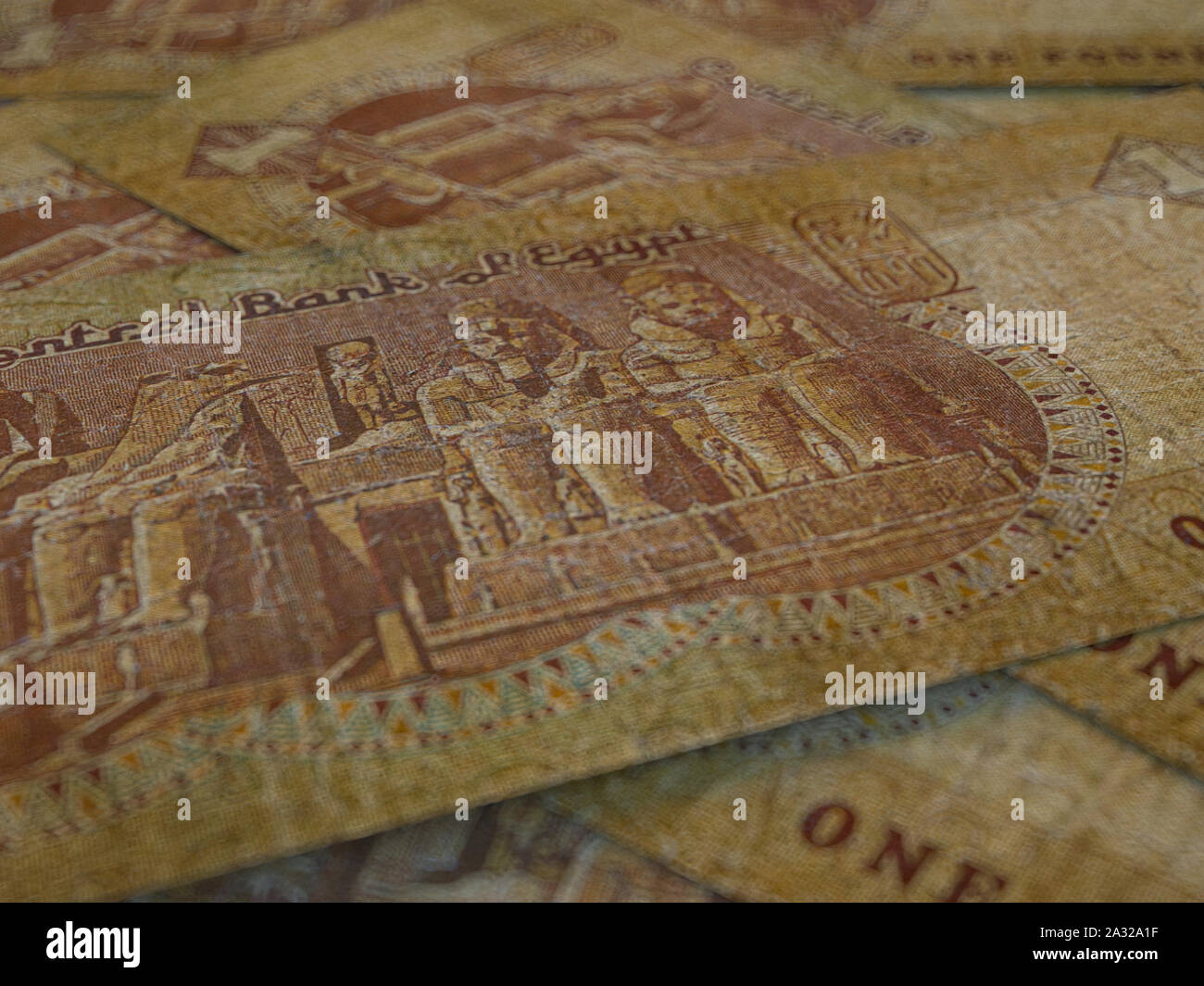 Egyptian pounds. Money of Egypt, business background. EGP. Closeup shot ...