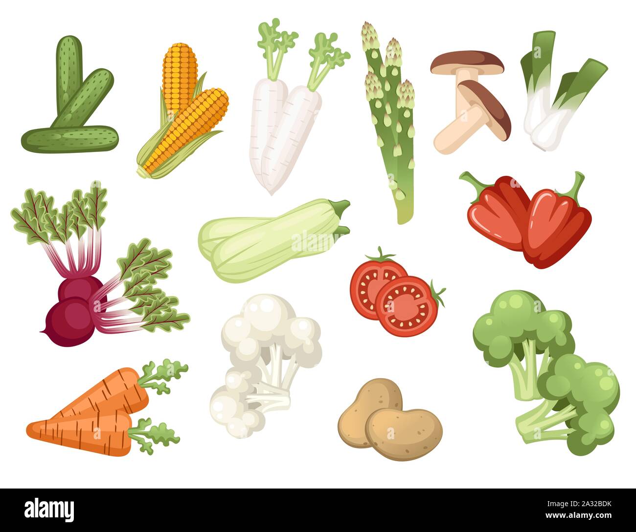 Set of fresh raw vegetables flat vector illustration isolated on white ...