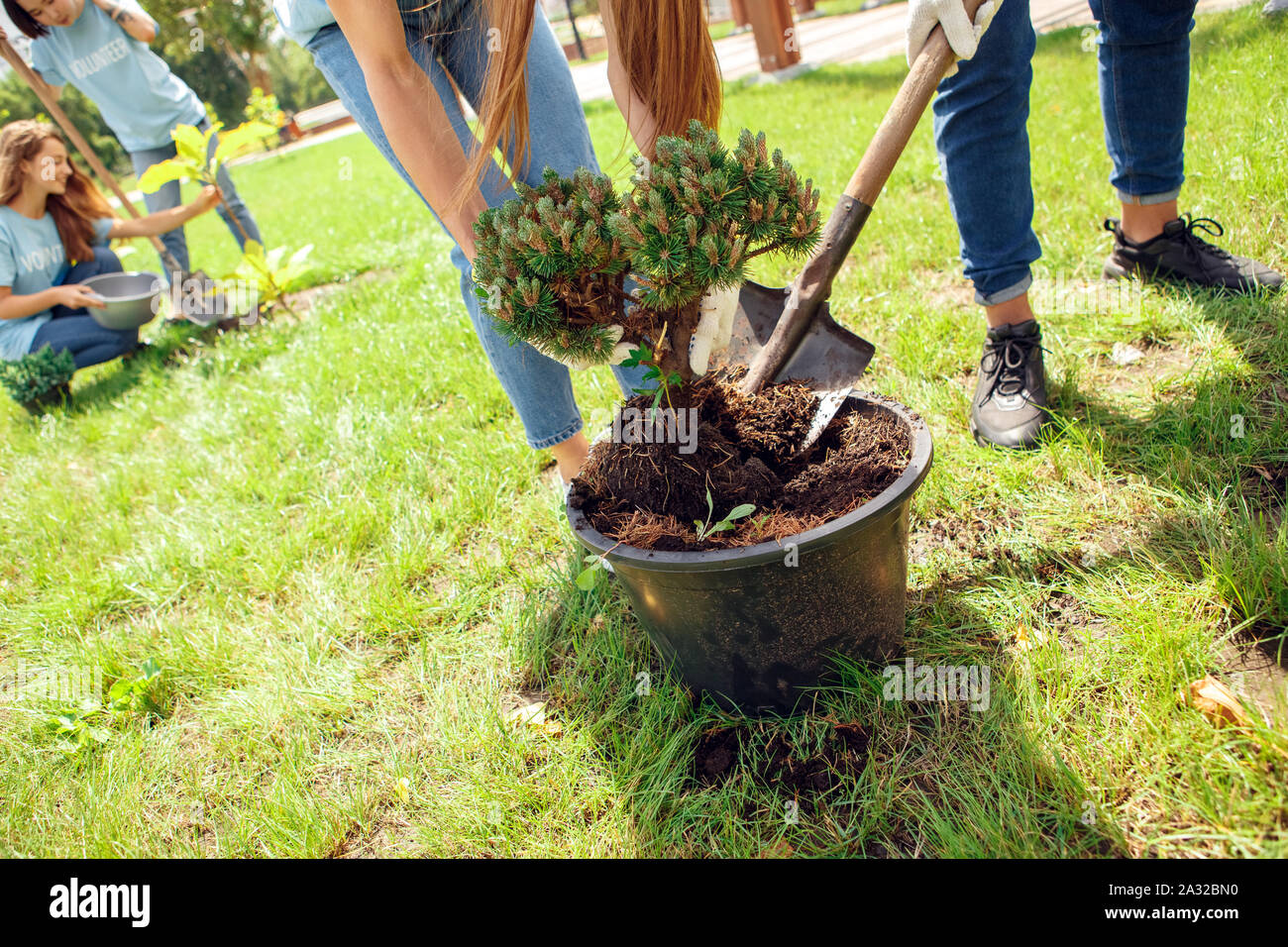 Diverse young group volunteer plant hi-res stock photography and images ...