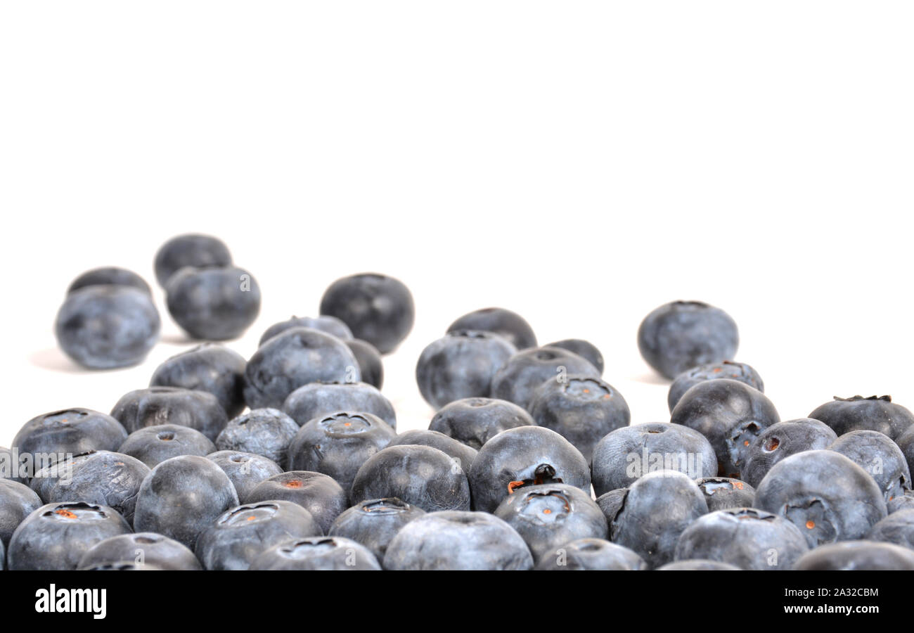 Blueberry pile isolated on white, blue berry pile with copy space Stock ...
