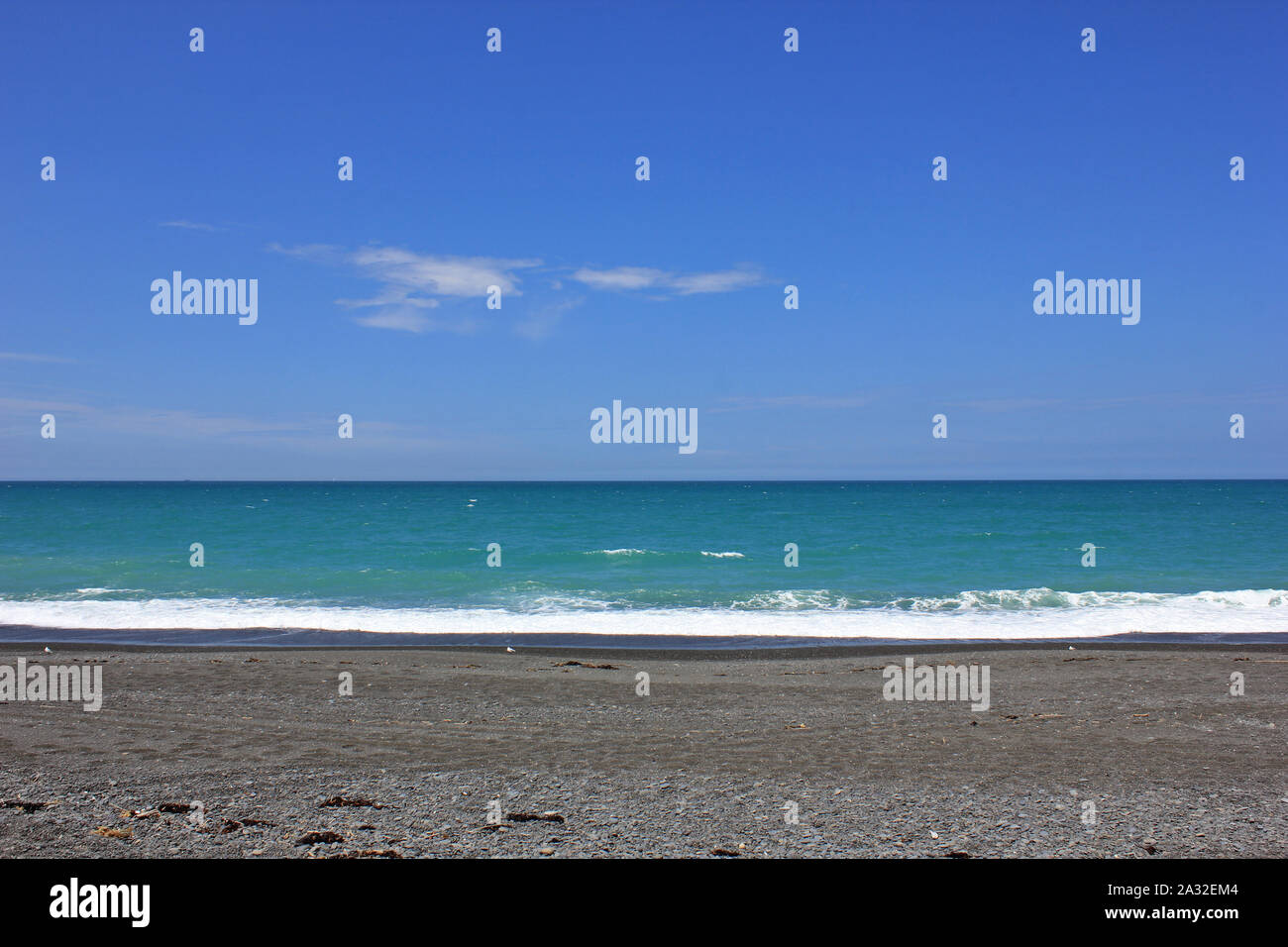 Sunny napier hi-res stock photography and images - Alamy
