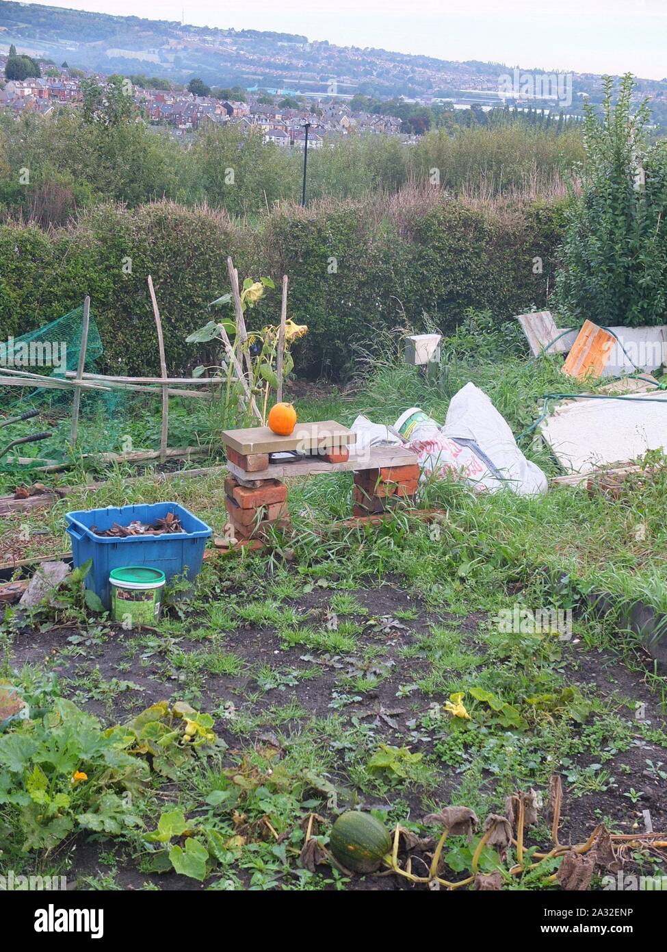 Urban allotments uk hi-res stock photography and images - Alamy