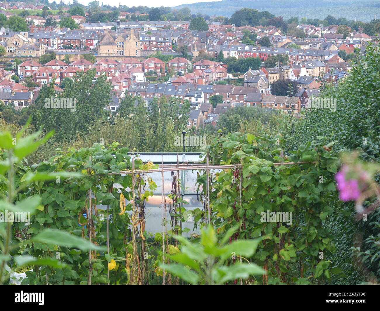 Allotment allotments urban city hi-res stock photography and images - Alamy