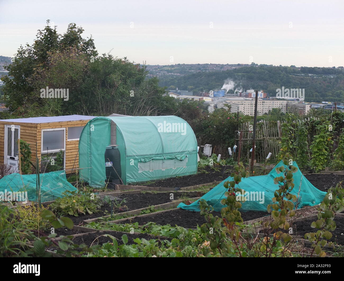 Urban UK allotments on Autumn morning with city background of block of ...