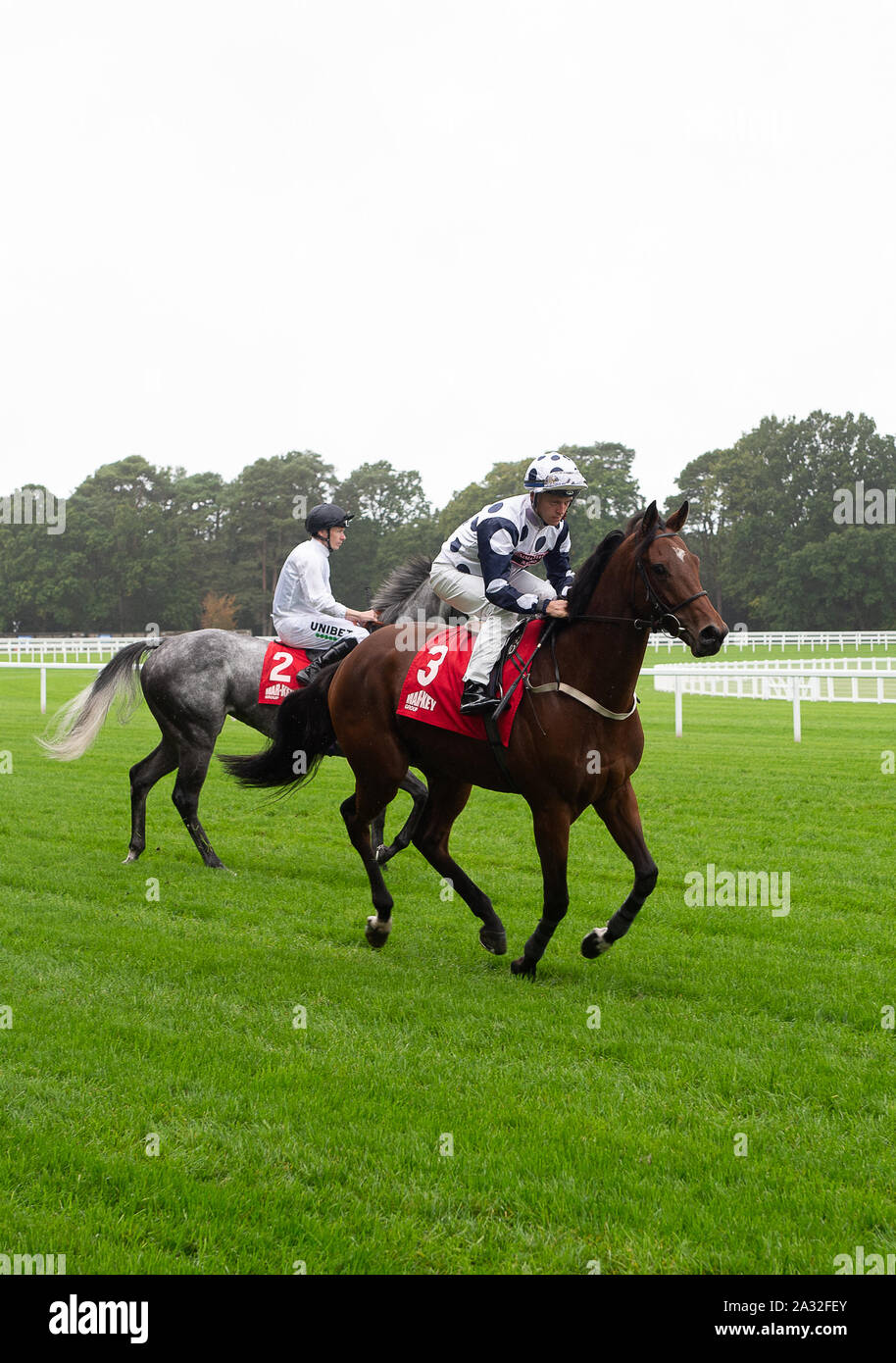 Autumn Racing Weekend & Ascot Beer Festival, Ascot Racecourse, Ascot ...