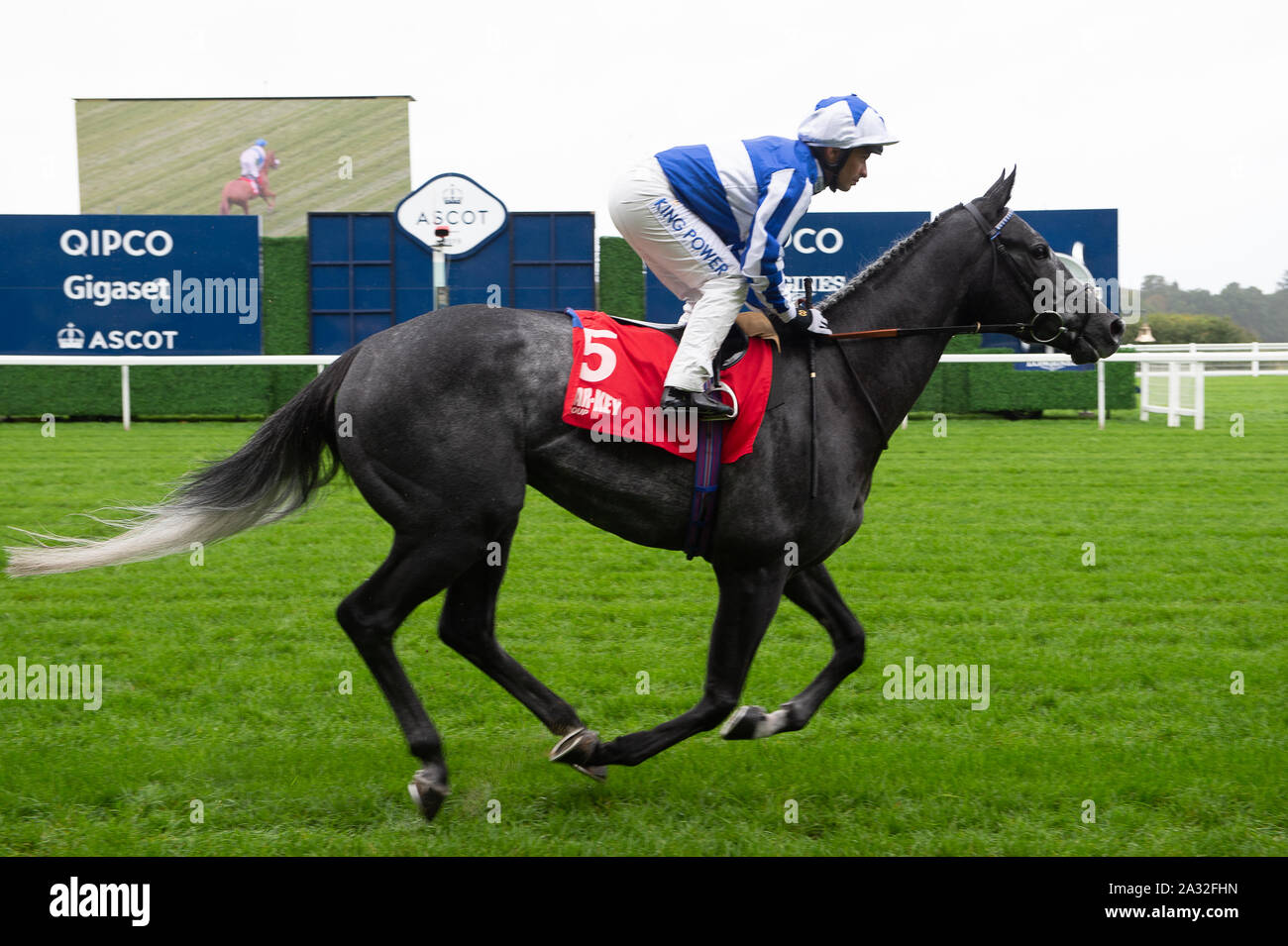 Horse racing leicester racecourse hi-res stock photography and images ...